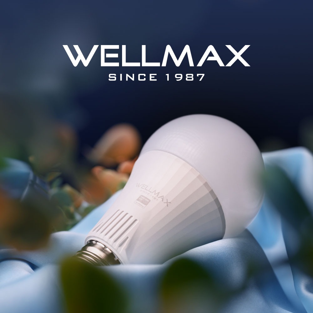 WELLMAX Lighting Official Store in the Philippines, Online Shop 05 2025