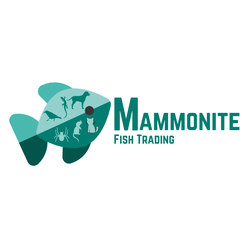 Shop at Mammonite Fish Trading with great deals online | lazada.com.ph