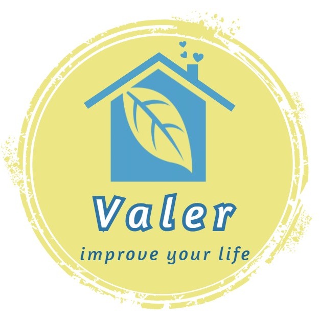 Shop online with Valer now! Visit Valer on Lazada.