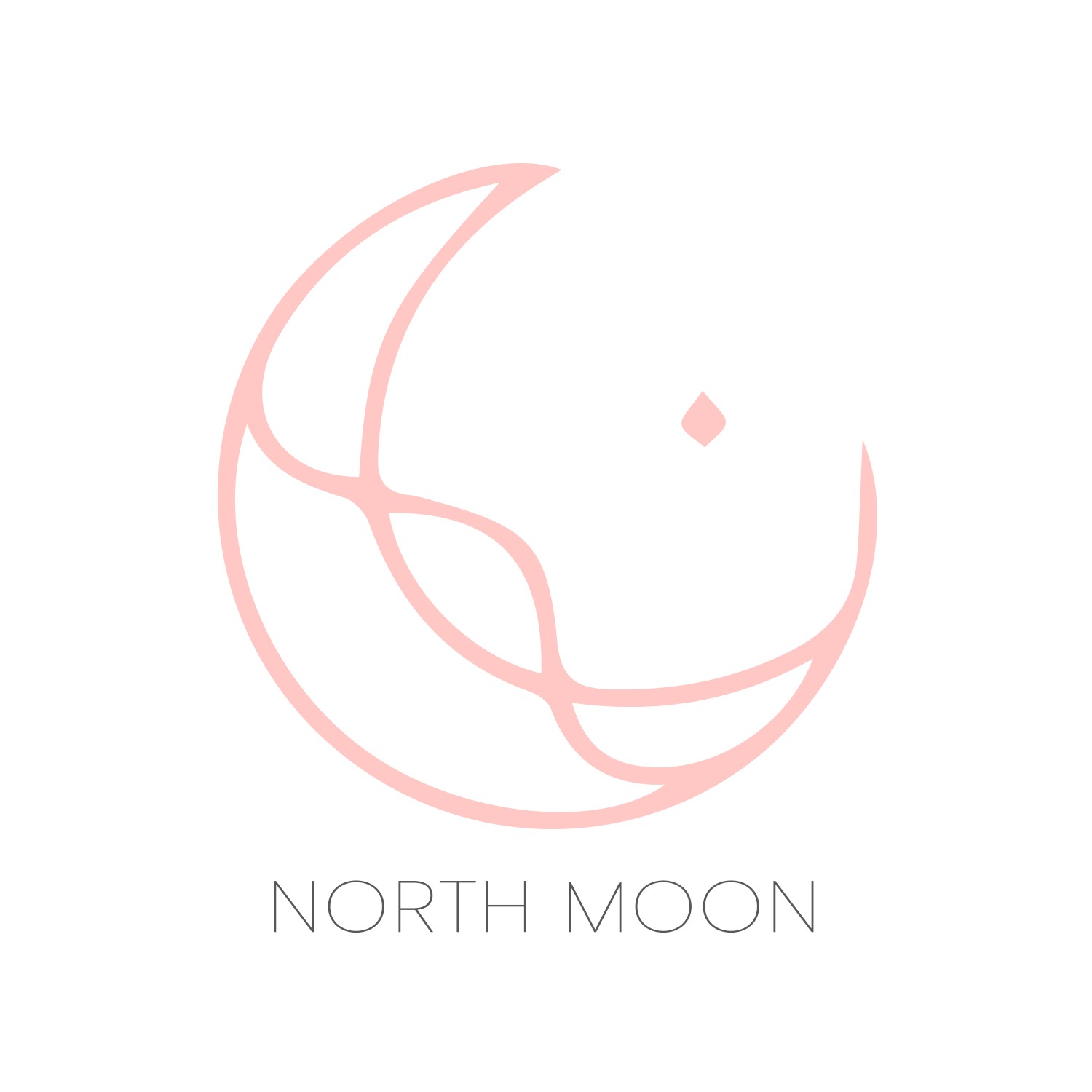 Shop online with North Moon now! Visit North Moon on Lazada.