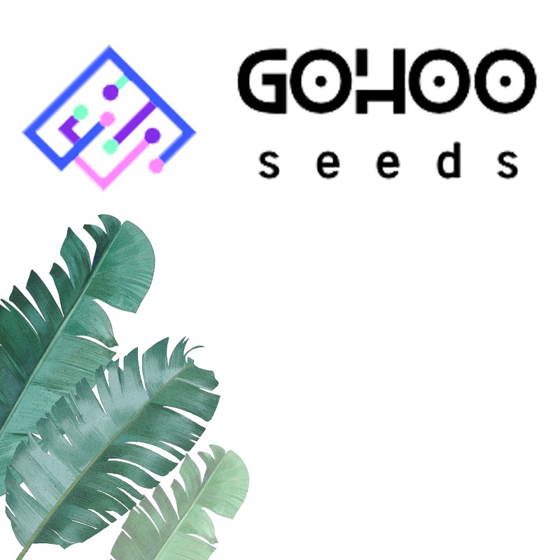 GOHOO Official Store in the Philippines, Online Shop 02 2025