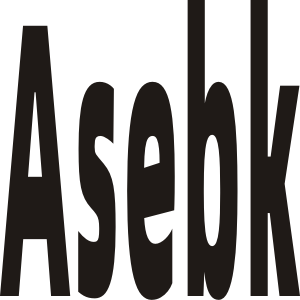 Asebk Official Store in the Philippines, Online Shop 11 2024