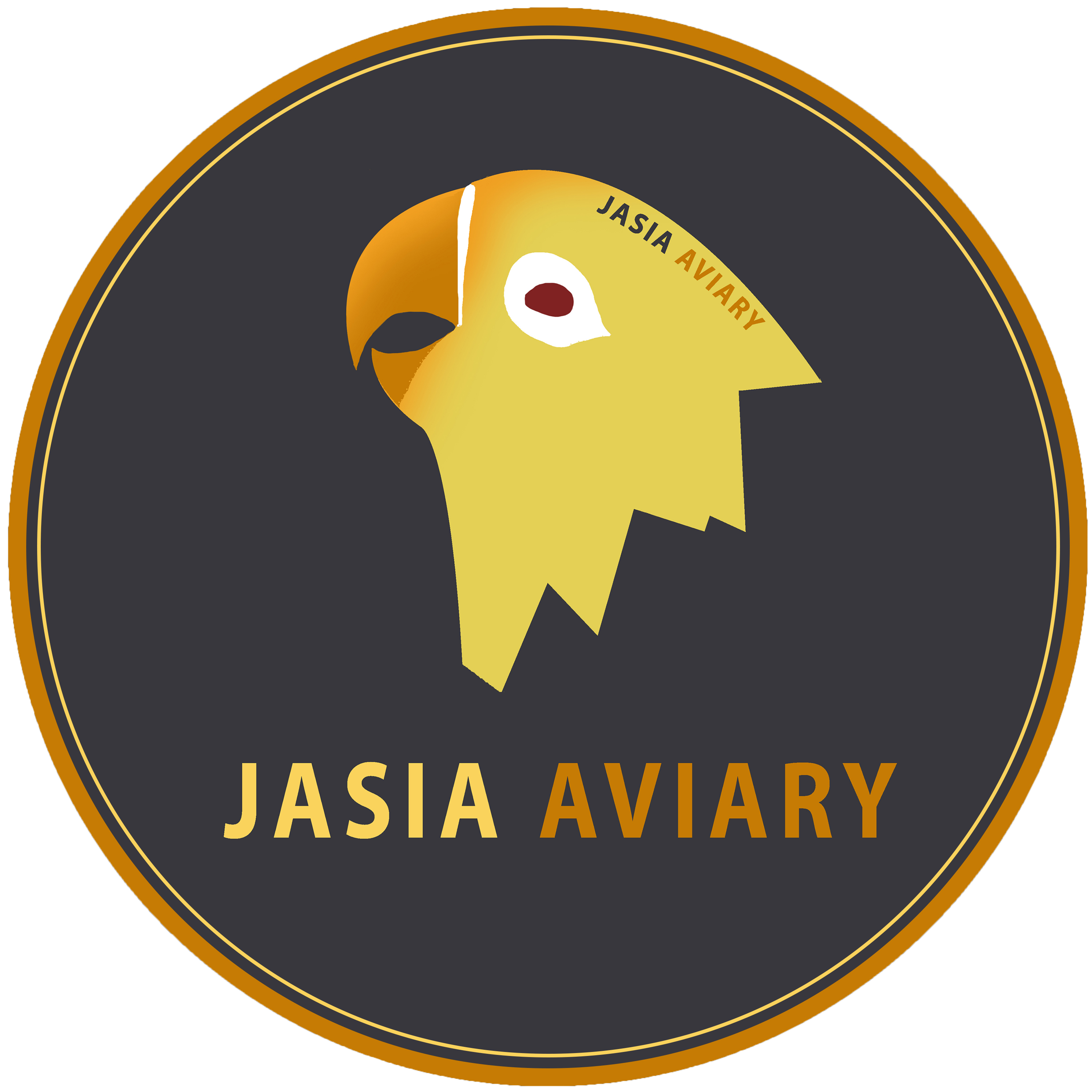 Shop online with JASIA now! Visit JASIA on Lazada.