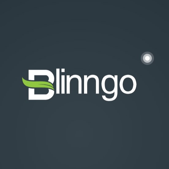 Blinngo Official Store in the Philippines, Online Shop 03 2025