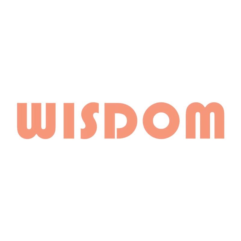 WISDOM brand store Philippines Official Online Store | Shop Now on Lazada